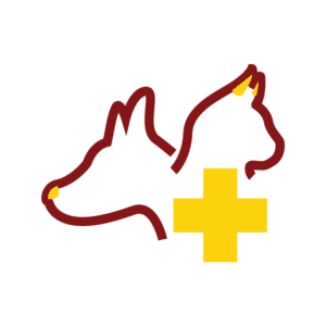 Veterinary Medicine | Northwest Compounders | Pet Compounds